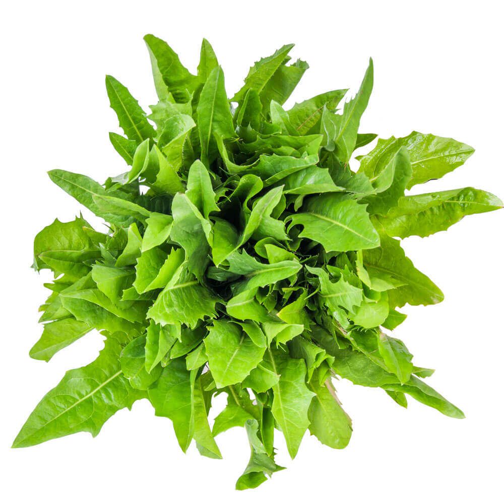 Catalonha Hasegawa| Mambo Supermercado São Paulo - Mambo Supermercado ...